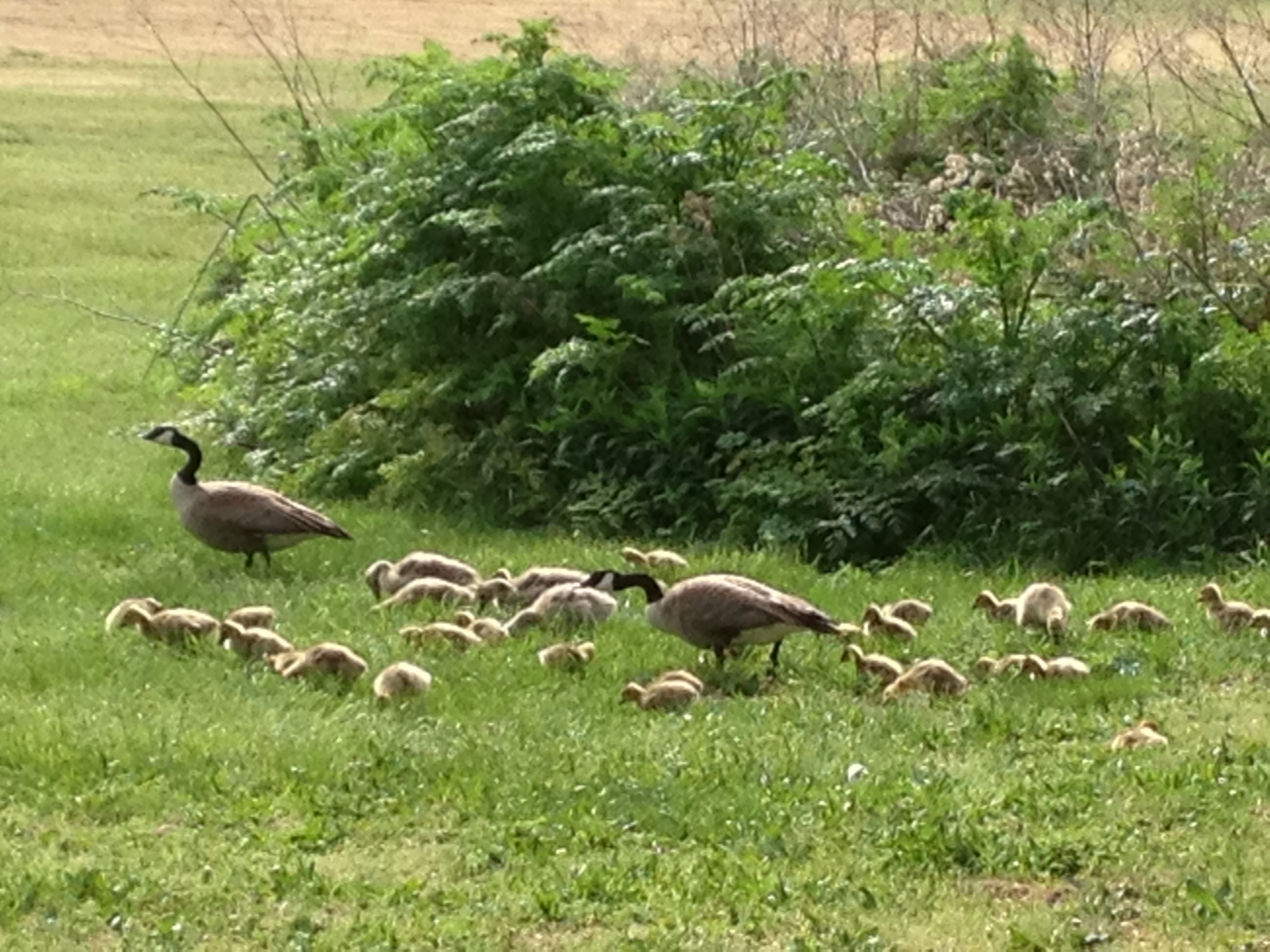 IMG_2278 - Wellness At The Center